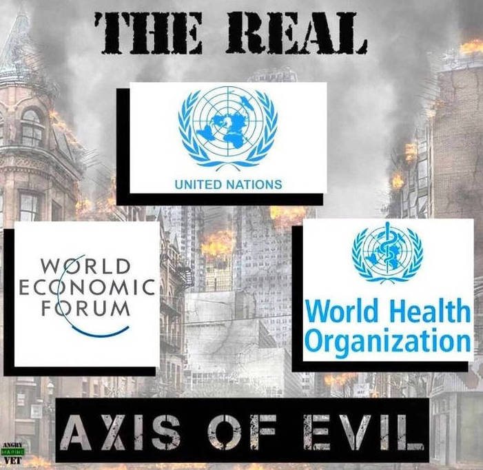 El «Pacto Digital Global» de la ONU para crear Internet 2.0 sin ...